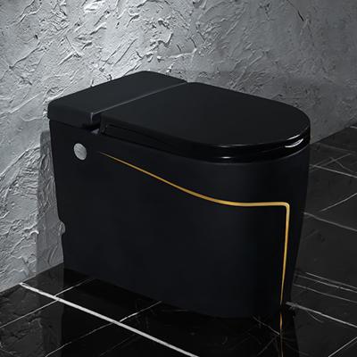 Cina Articoli sanitari 615*360*455mm della toilette intelligente astuta nera di un pezzo in vendita