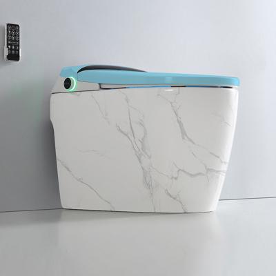 Cina Miscela astuta di un pezzo Pit Spacing della toilette del bagno di Siphonic 300mm in vendita