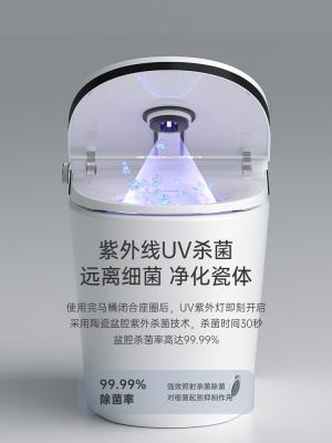 Cina Lavaggio intelligente di auto dell'un pezzo solo astuto della toilette con sciacquone di Flessinga del sifone in vendita