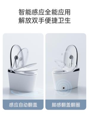 Cina Lavaggio intelligente di auto dell'un pezzo solo astuto della toilette con sciacquone di Flessinga del sifone in vendita