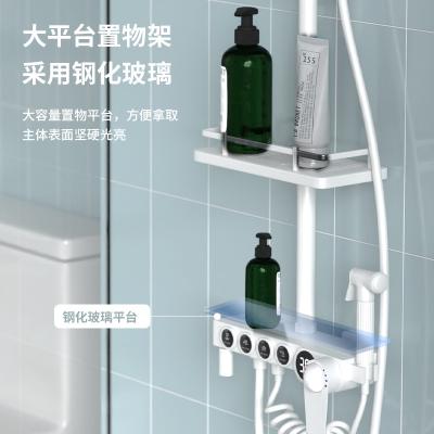 Cina Doccia di pioggia fissata al muro d'ottone bianca lucidata con quattro funzioni in vendita