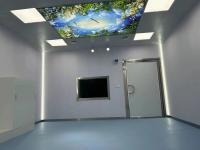 Quality 10Hz - 100Hz Faraday Container Rf Shielding For Mri Rooms For Protecting Sensitive Equipment for sale