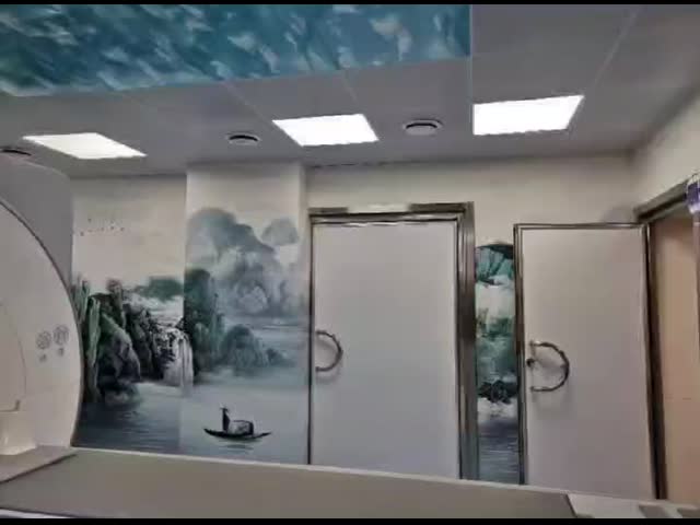 La resonancia magnética de la jaula de Faraday de plata para laboratorios La solución de protección definitiva