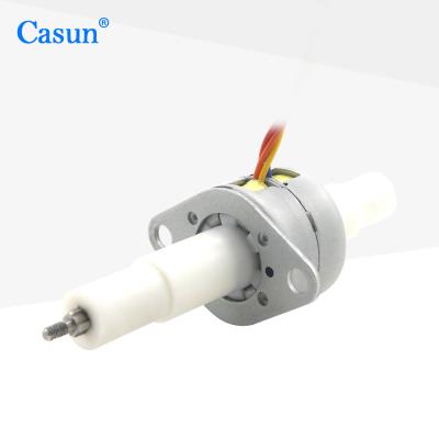 China Casun PM Stepper Motor High Precision Motor for Automation Customized Motor for sale