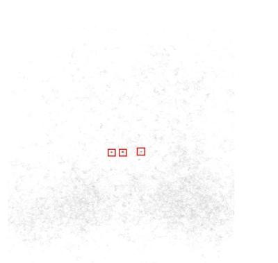 Китай Система рентгеновской инспекции посторонних веществ в чае с интерфейсом человек-машина продается