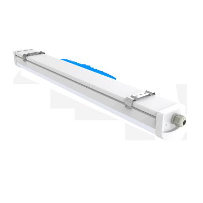China High Light Efficiency LED Triproof Light 130LPW With Transparent Cover à venda