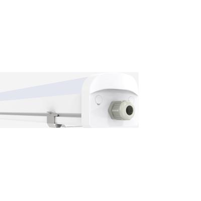 China High Light Efficiency LED Triproof Light 130LPW With Transparent Cover à venda