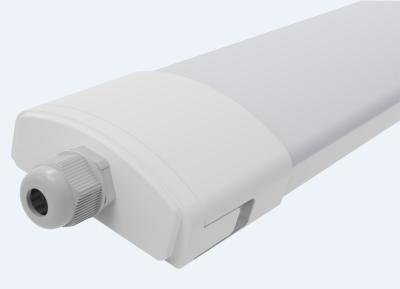 Cina D2.5 LED Triproof Lighting Hi-Slim & Buckle End Cap Design For Labor Cost Saving in vendita