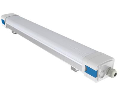 Cina Dualrays LED Triproof Light Buckle End Cap Easy Installation High Luminous Efficacy in vendita