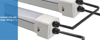 Cina Tri efficienza 0-10V DALI Dimming della luce 4ft 40W 160LPW della prova di DUALRAYS D5 LED in vendita