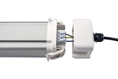 Cina Alimentazione elettrica d'abitazione di plastica della lampada IP66 IK10 Boke della prova di serie 2ft 20W LED di Dualrays D5 tri con il sensore di a microonde in vendita