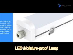 dualrays ip65 2ft 4ft 5ft tri proof led light 20w 30w 40w 50w for warehouse