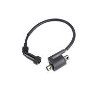 Quality Durable YBR125 Motorcycle Electrical Components Stable Motorcycle Ignition Coil for sale