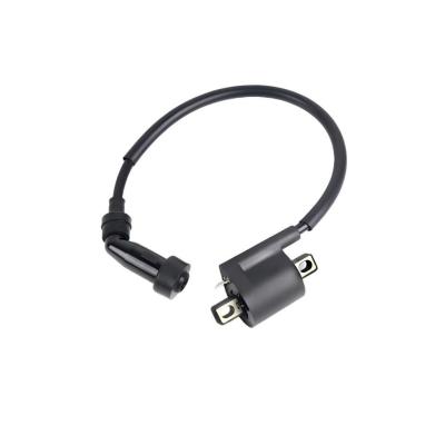 China Durable YBR125 Motorcycle Electrical Components Stable Motorcycle Ignition Coil Booster for sale