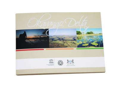 China Promotional Video Brochure Card with Magnetic switch , ON / OFF button switch for sale
