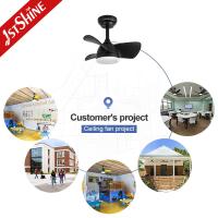 China Led Light Small Ceiling Fan Decorative Quiet DC Motor For Small Room for sale