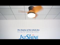 Decorative Quiet DC Motor Flush Mount Small Size Led Ceiling Fan With Light