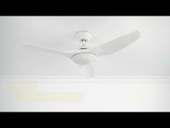 3 ABS Plastic Blades DCF FS52920 DC Motor Ceiling Fan Natural Wind