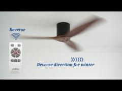220V 60w Home Decoration Ceiling Fan With Remote Control AC Motor