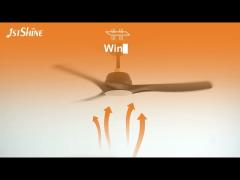 Black Plastic Ceiling Fan With Light China Supplier Modern Dc Motor Low Voltage