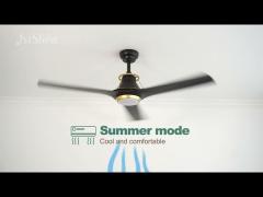 Abs Ceiling Fan With Remote Control Dc Motor 6  Speeds Choice modern indoor