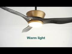Modenr Led Ceiling Fan With Remote Control Quiet Dc Motor High Speed