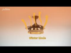 Rope Cage Hidden Blade Ceiling Fan Light With Remote Control Dc Motor