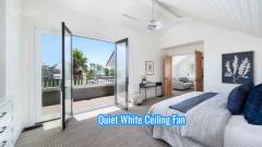 52 Inch White Modern Ceiling Fan Quiet LED Light
