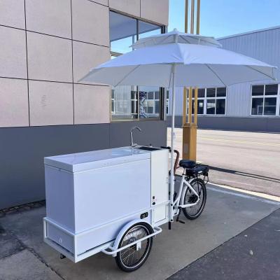 China Ice Cream Cabinet Three Wheel Bike Restaurant Retail 200L Electric Ice Cream Bicycle Freezer for sale