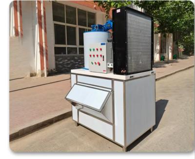 China 3000Kg Daily Factory Direct Wholesale Big Storage Modular Industrial Flake Ice Machine for sale