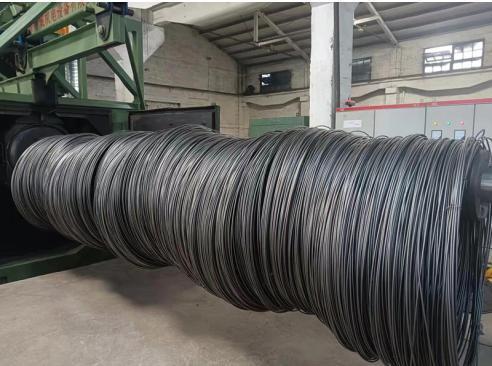 Wire Rod Coil Shot Blasting Machine with Descaling Rust of Rod Coil