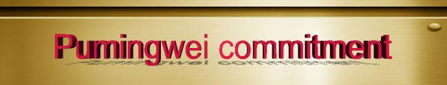 China Hot Roller Conveyor System Type Wheel Blasting Used on Metal Derusting