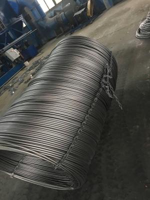 Cina Shot Blasting Machine PMW-4350 for Round Wire Rod Customization in Screw Industry in vendita