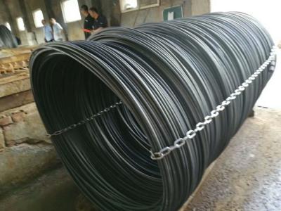 Cina Shot Blasting Machine PMW-4350 for Round Wire Rod Customization in Screw Industry in vendita