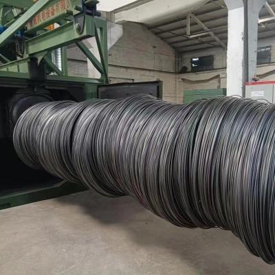 Cina High Cleanliness Single Station Wire Rod Coil Shot Blasting Machine With Automatic Control in vendita
