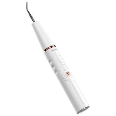 Cina Diametro ricaricabile del pulitore ultrasonico dentario 2.4cm del dente della famiglia ergonomico in vendita