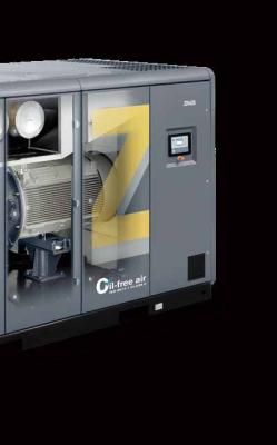 Cina ZT18-55VSD Compressore d'aria a vite Atlas senza olio raffreddamento dell'aria 50~60Hz 10,5m3/min in vendita