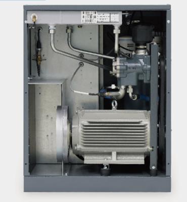 Cina Compressore ad aria lubrificata Atlas G serie G5 con capacità di 12-13 L/s Fad in vendita
