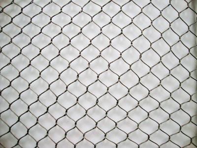 China stainless steel cable netting for sale