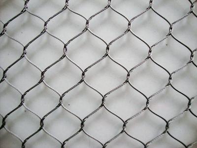 China Animal enclosure mesh for sale