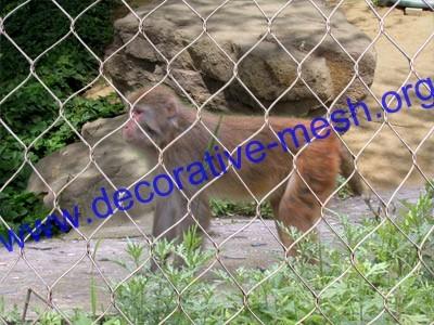 China animal fence, zoo mesh,leopard cage for sale
