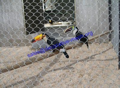 China AVIARY MESH, BIRD NETTING MESH for sale