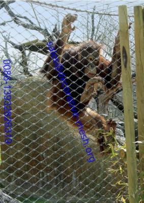 China rope mesh, aimial fence, zoo mesh for sale
