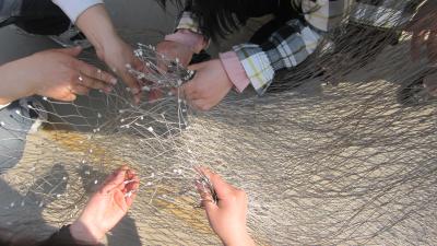 China AVIARY MESH, BIRD NETTING MESH for sale