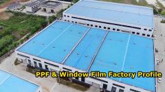 Factory Profile: GWF New Material – A Leading Manufacturer of PPF & Window Film