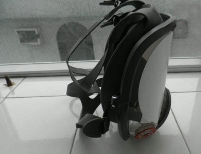 China 6800 Gas Mask for sale