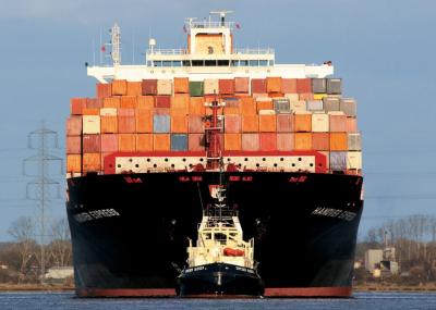 China Sri Lanka Colombo FCL LCL Ocean Freight offer Shipping Agent Purchasing Customs Clearance for sale