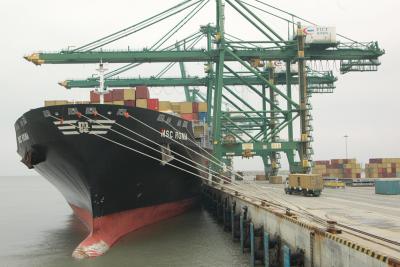 China Tepic/Tijuana B.California/Xalapa/Veracruz/Cabo San Lucas/Leon/Nogales  LCL ocean FCL shipping logistics agent for sale