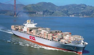 China Coronel Oviedo/Villarica/Caaguazu/Santos/Itajai /Rio De Janeiro LCL ocean FCL shipping logistics agent for sale