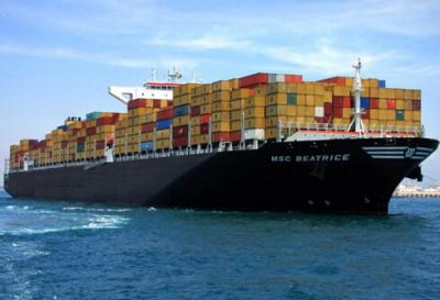 China Rio Grande /Paranagua/Novo Hamburgo/Suape/Betim LCL ocean FCL shipping logistics agent for sale